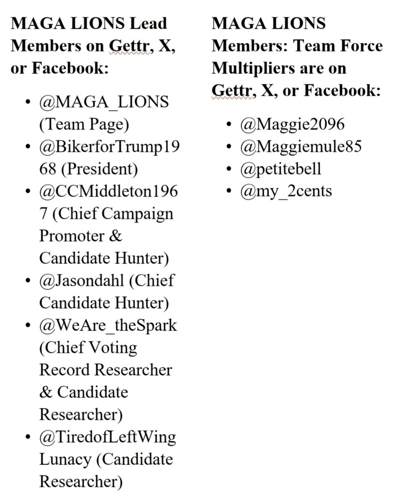 Boots on the Ground 5 – The Rise of the MAGA LIONS for Trump: - Stephen ...